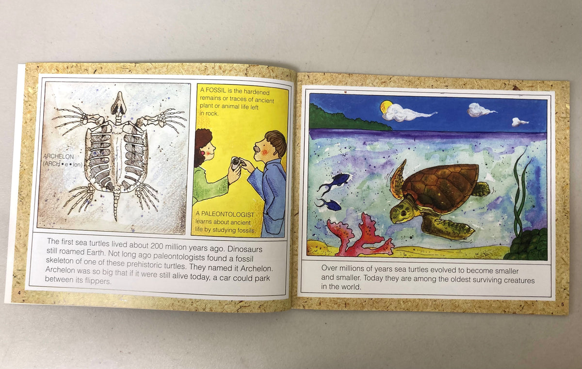 Book-Sea Turtles by Gail G. – The Turtle Hospital