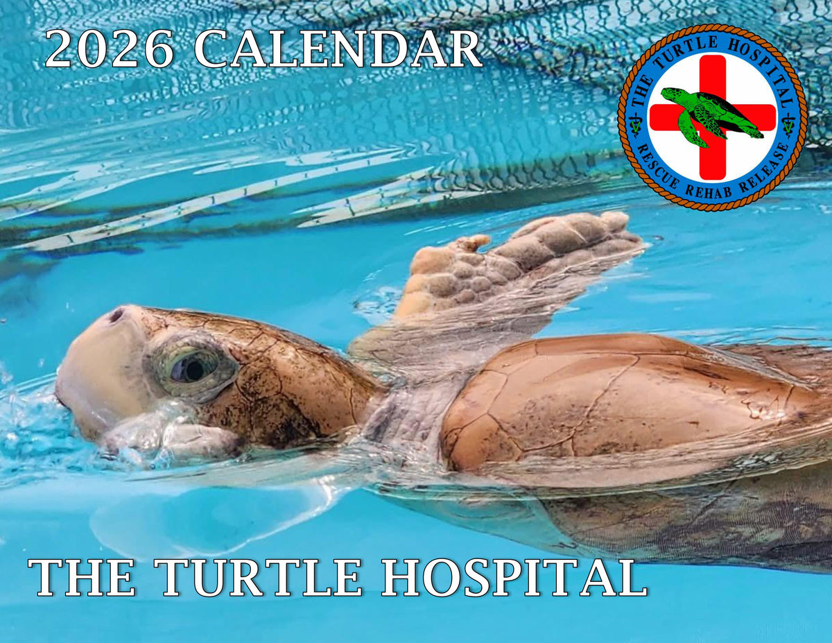 Calendar 2026 – The Turtle Hospital