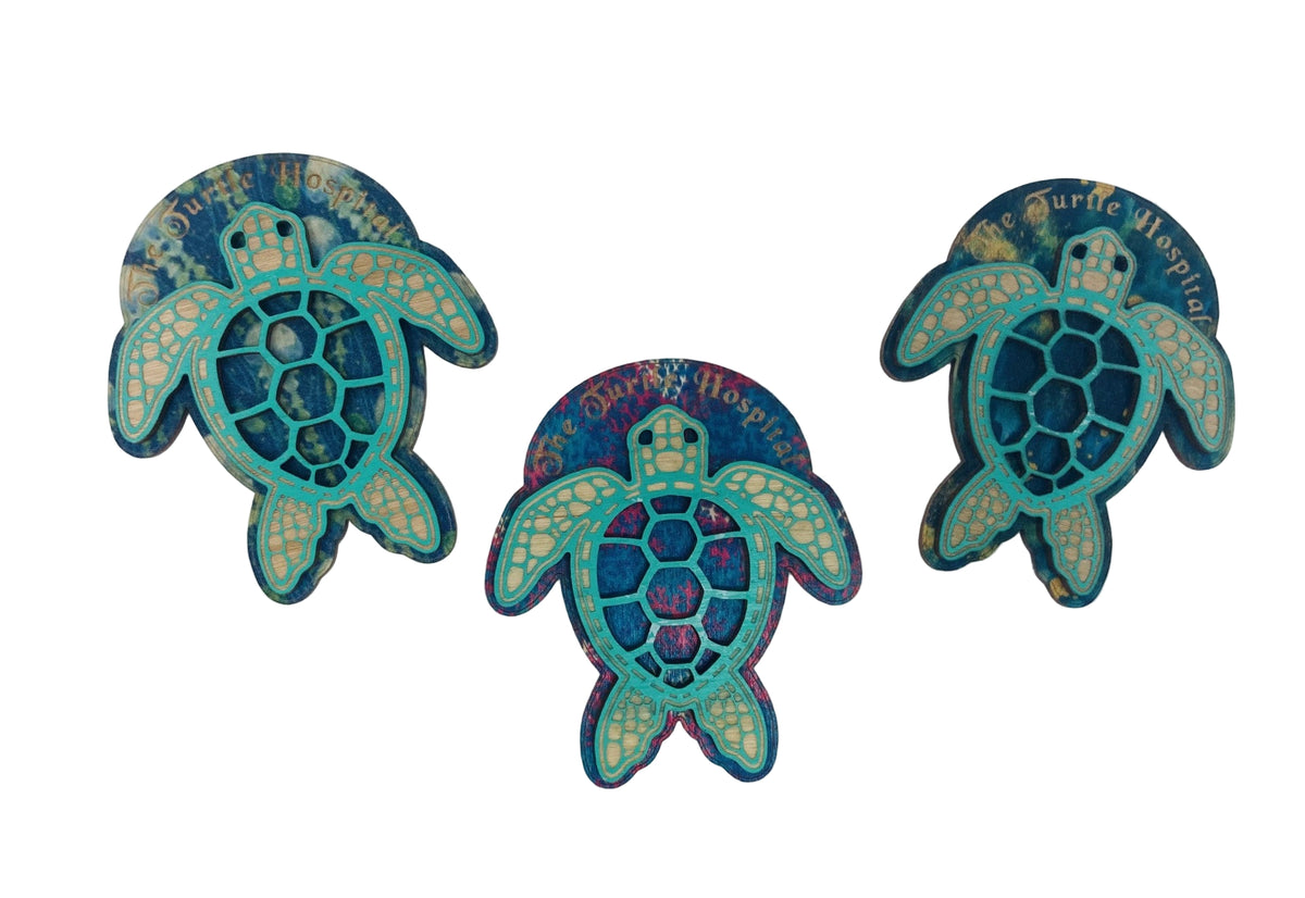 Magent-Lazer Wood – The Turtle Hospital
