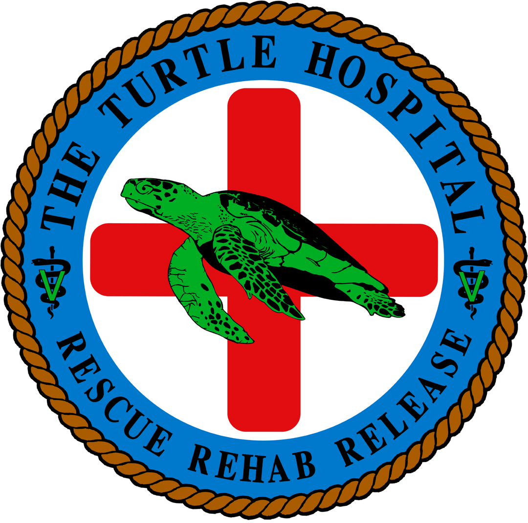 Stickers – Page 2 – The Turtle Hospital