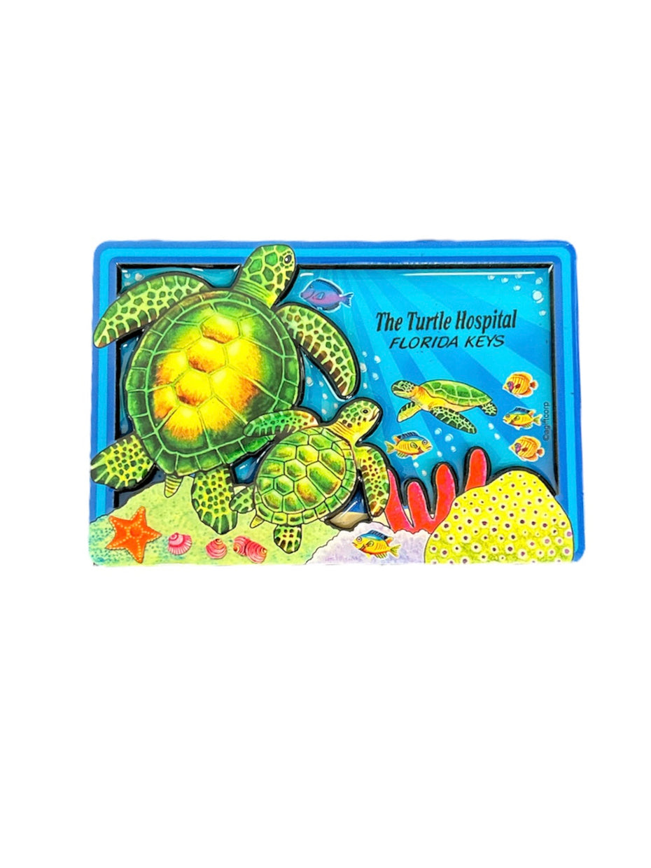 Key Chains / Magnets – The Turtle Hospital