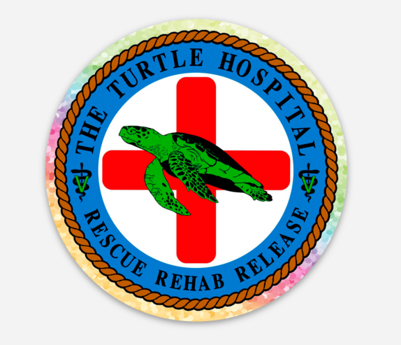 Sparkle Logo Sticker – The Turtle Hospital