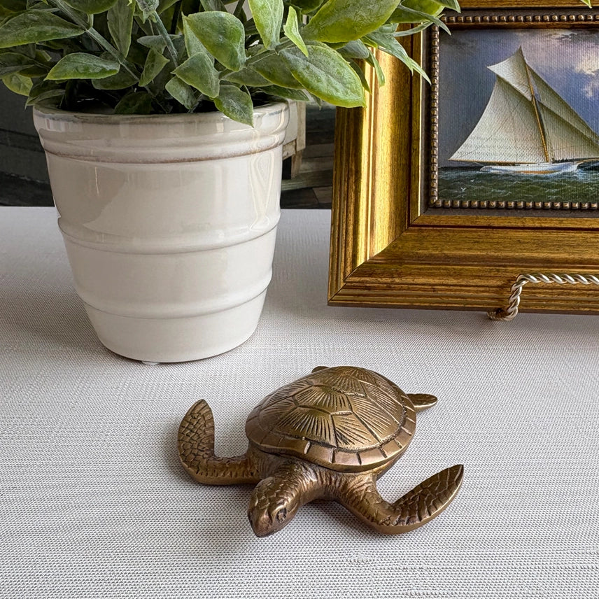 Paperweight- Brass Sea Turtle – The Turtle Hospital