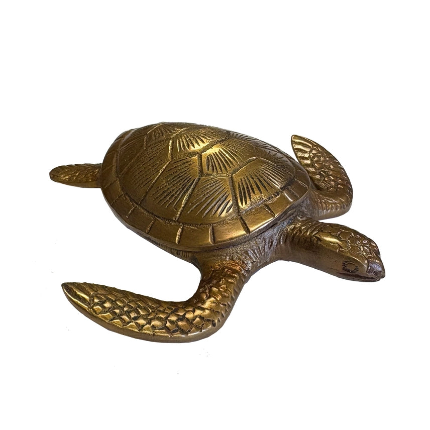 Paperweight- Brass Sea Turtle – The Turtle Hospital