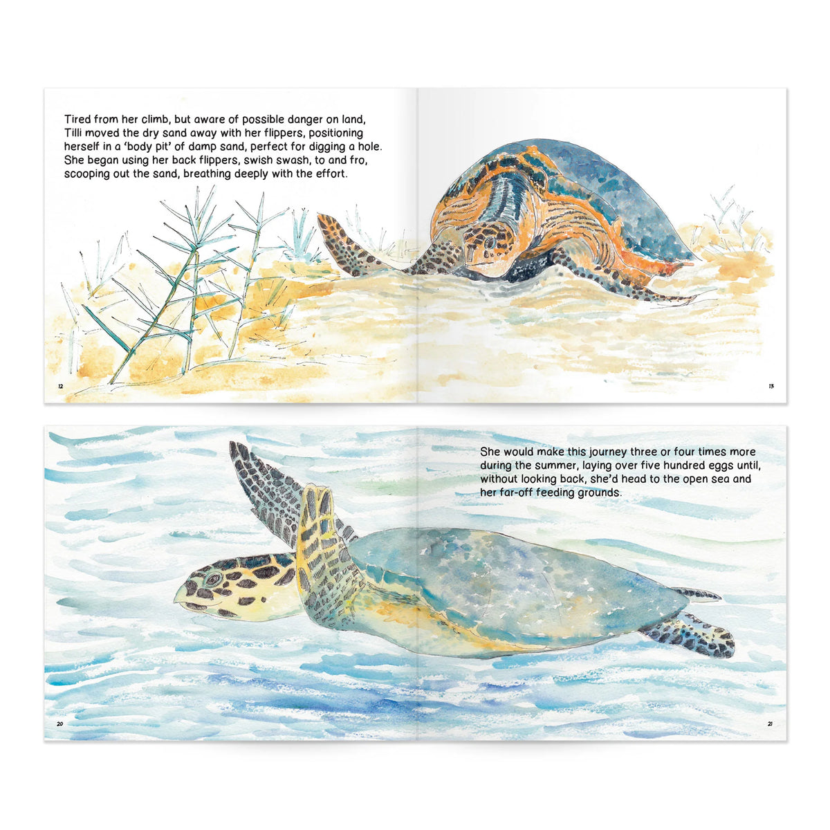 Book-Turtle Tracks – The Turtle Hospital