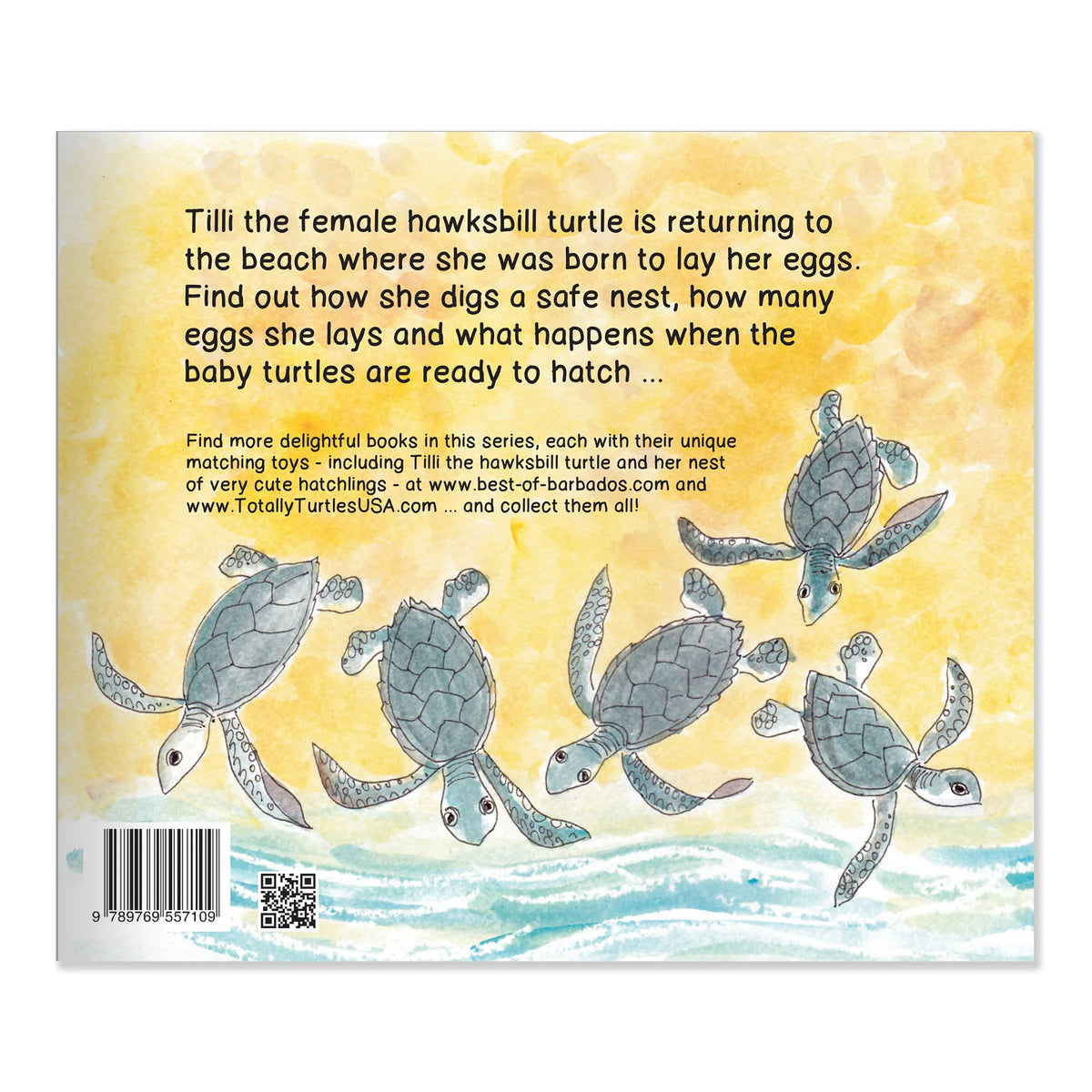 Book-Turtle Tracks – The Turtle Hospital
